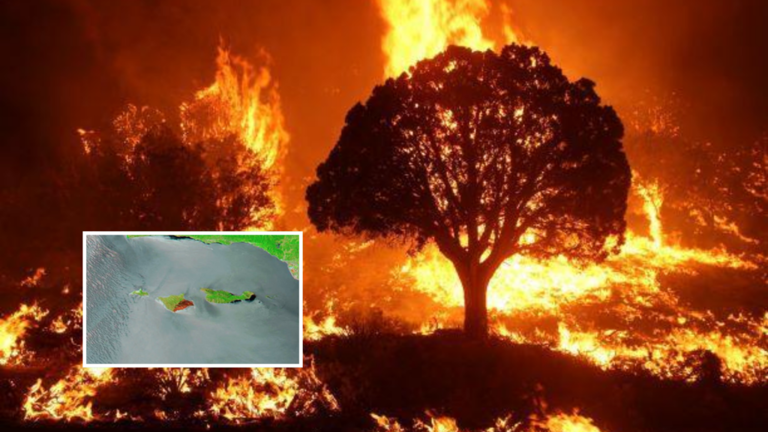 NASA images show fire damage across Santa Rosa Island, raising concerns ...