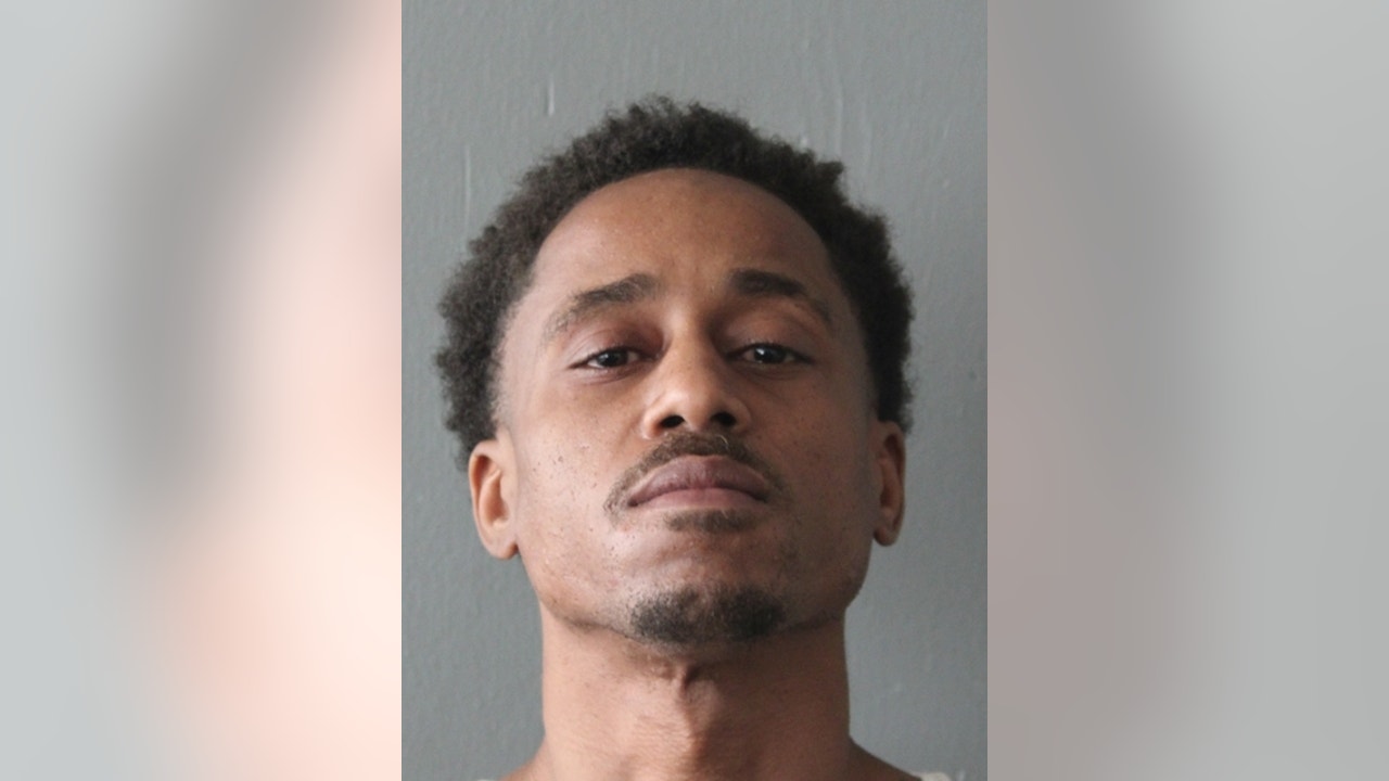 Chicago man charged with murder in fatal Chatham shooting: police