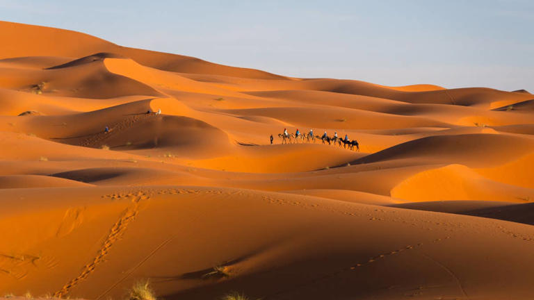49 people die of dehydration after truck breaks down in Sahara Desert