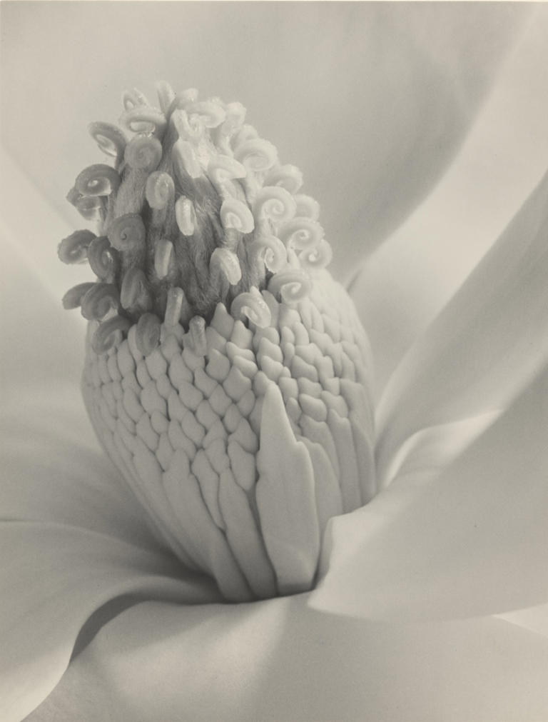 Virginia museum's ambitious photography expansion boosted by landmark ...