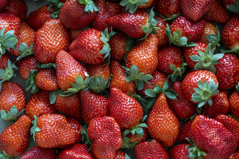 Popular Illinois strawberry festival kicks off this weekend, another ...