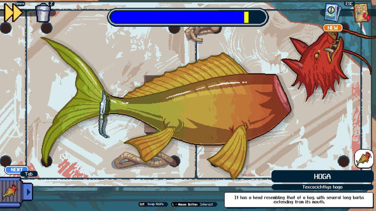 Indie devs behind viral fishing game say "AI slop" clones helped ...