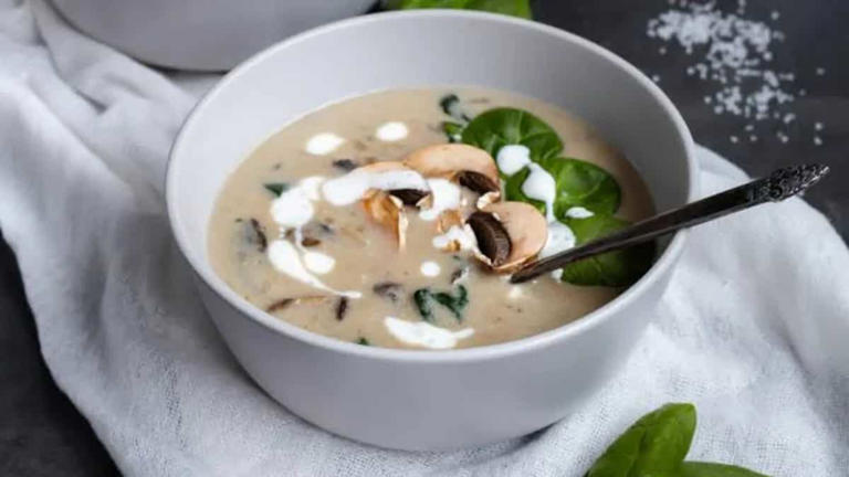 Efficient blender heater recipes to make restaurant-style soups