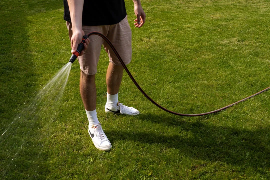 10 mistakes to avoid right after mowing the lawn - experts warn of ...