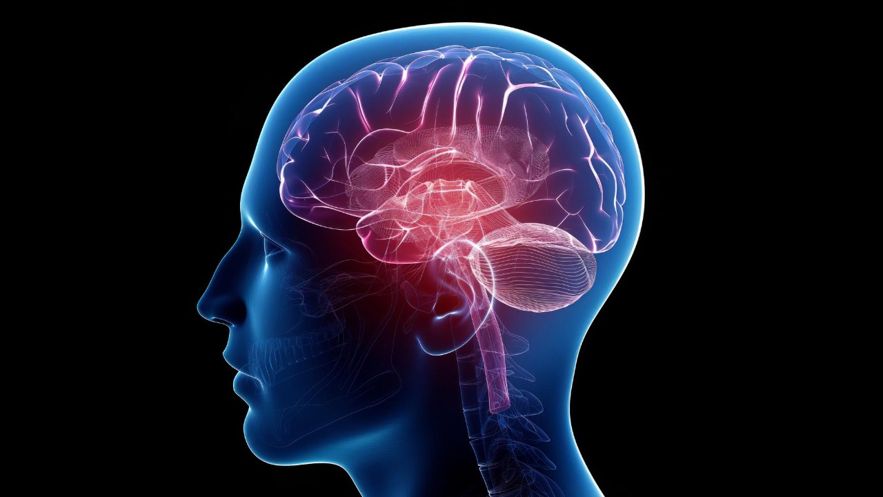 Your brain runs on roughly 20 watts, less than a light bulb