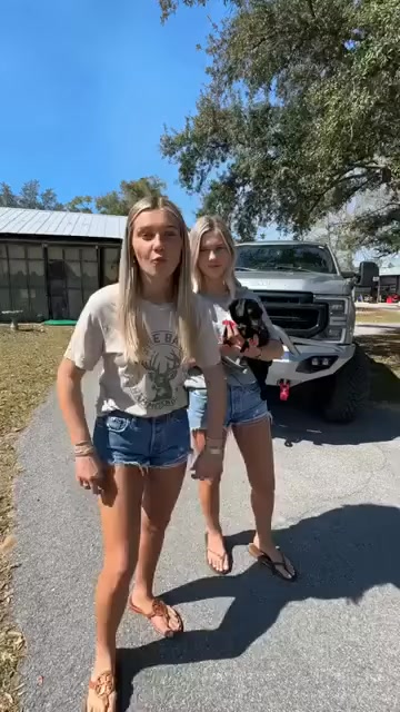 Twin K10 squarebody Chevy trucks