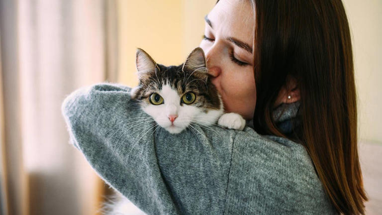 7 sensitive cat breeds that know when you need a hug