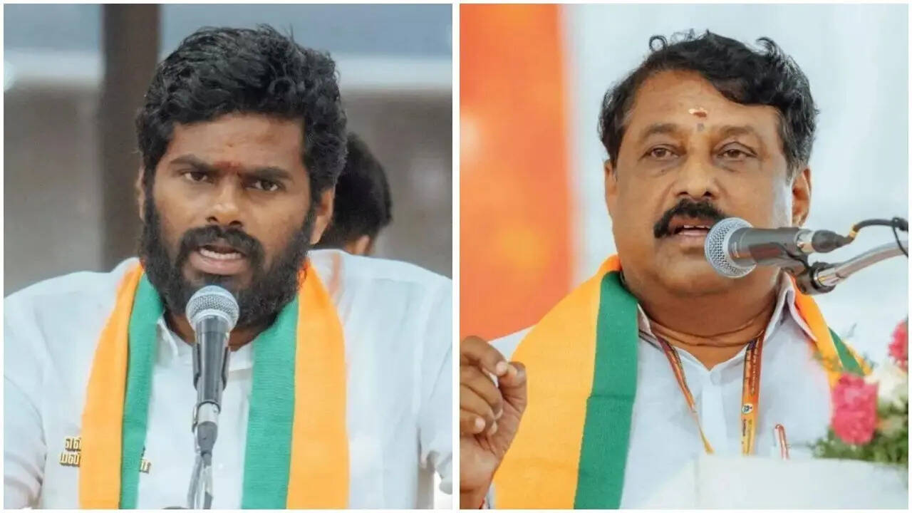 Don't leave, we have PM Modi: BJP TN chief's appeal to cadres after ...
