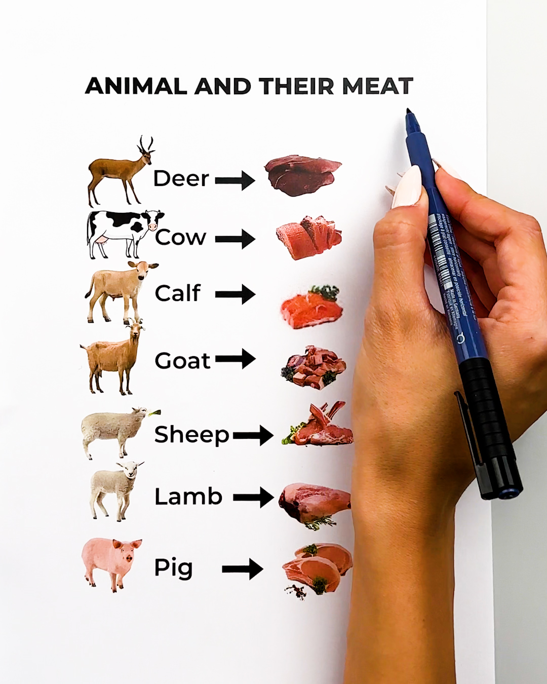 Meat names explained with pictures 🐐🍖
