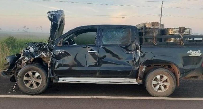 Vaca na pista destrói Hilux e causa acidente na BR-429
