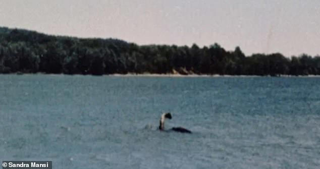 Mystery of America's Nessie deepens as strange creature appears behind ...