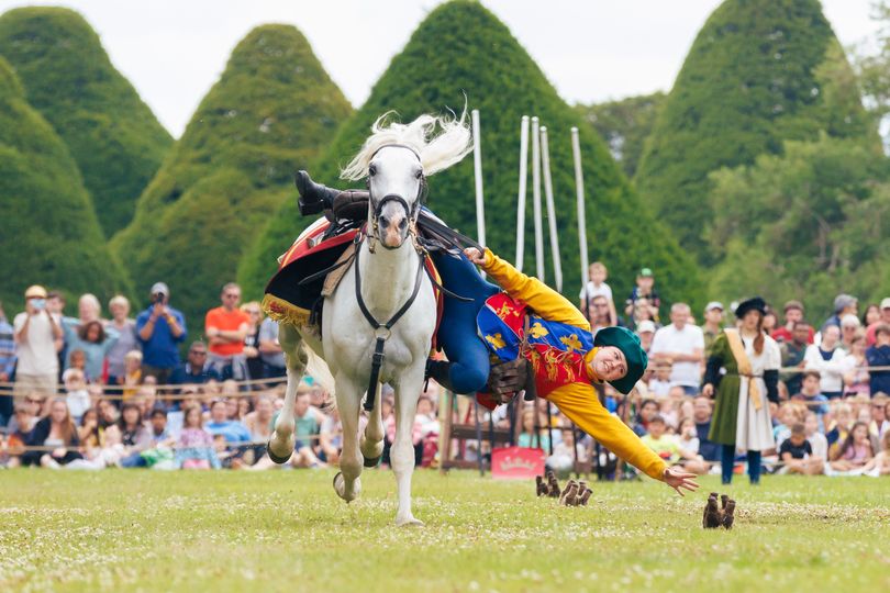 The unusual Surrey picnic spot where you can watch rival knights clash ...