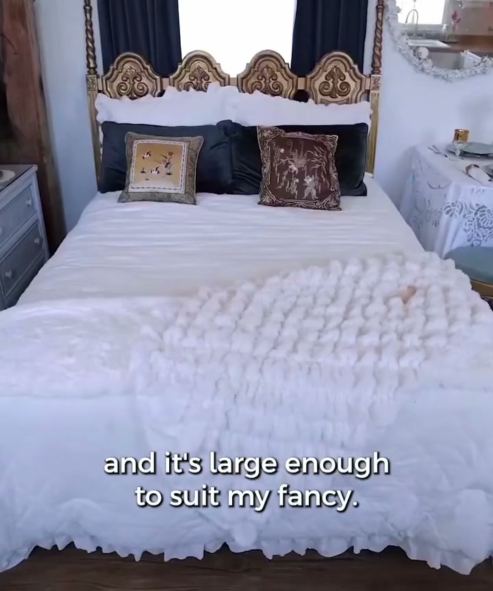 Meet Judy, a firecracker retiree living in a charming 12’ x 24’ shed ...