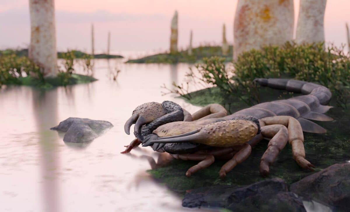 Scientists identified a fossil giant scorpion that reached 3 feet long ...