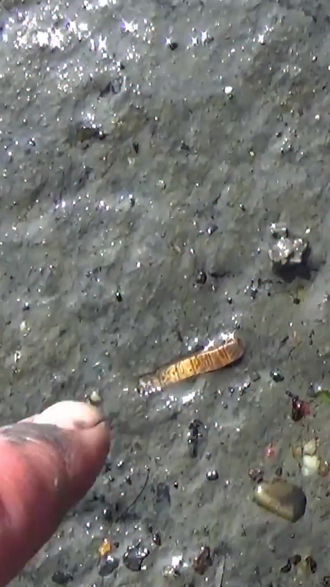 A curious find in the Thames mud