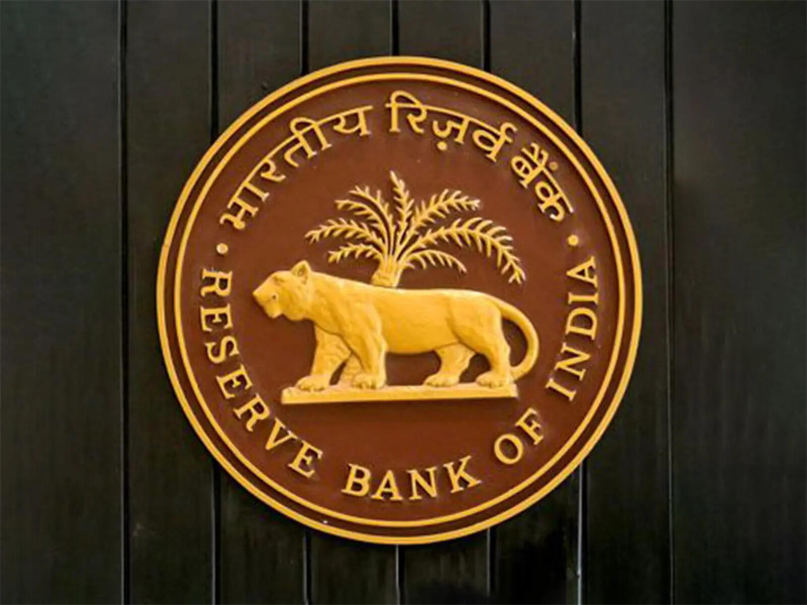 RBI's foreign capital push reflects rising inflation, slowing growth ...