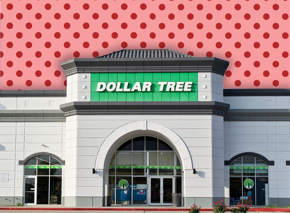 7 best new Dollar Tree storage finds flying off shelves this week