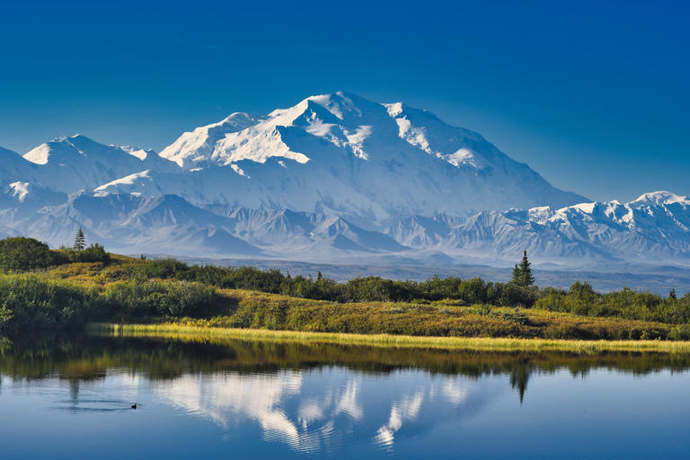 National park ranger dies while patrolling America's tallest peak