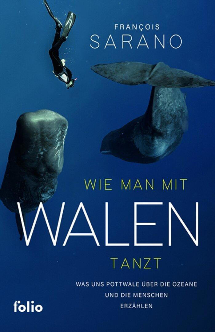 Taucher tanzt mit einem jungen Pottwal vor Mauritius