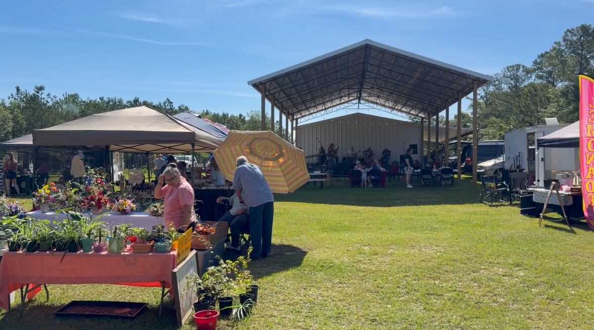 U-pick festival offers thornless blackberries in Stewart County