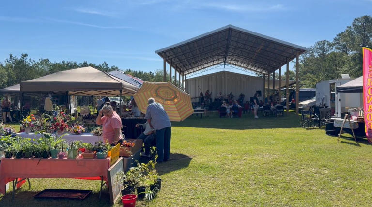 U-pick festival offers thornless blackberries in Stewart County