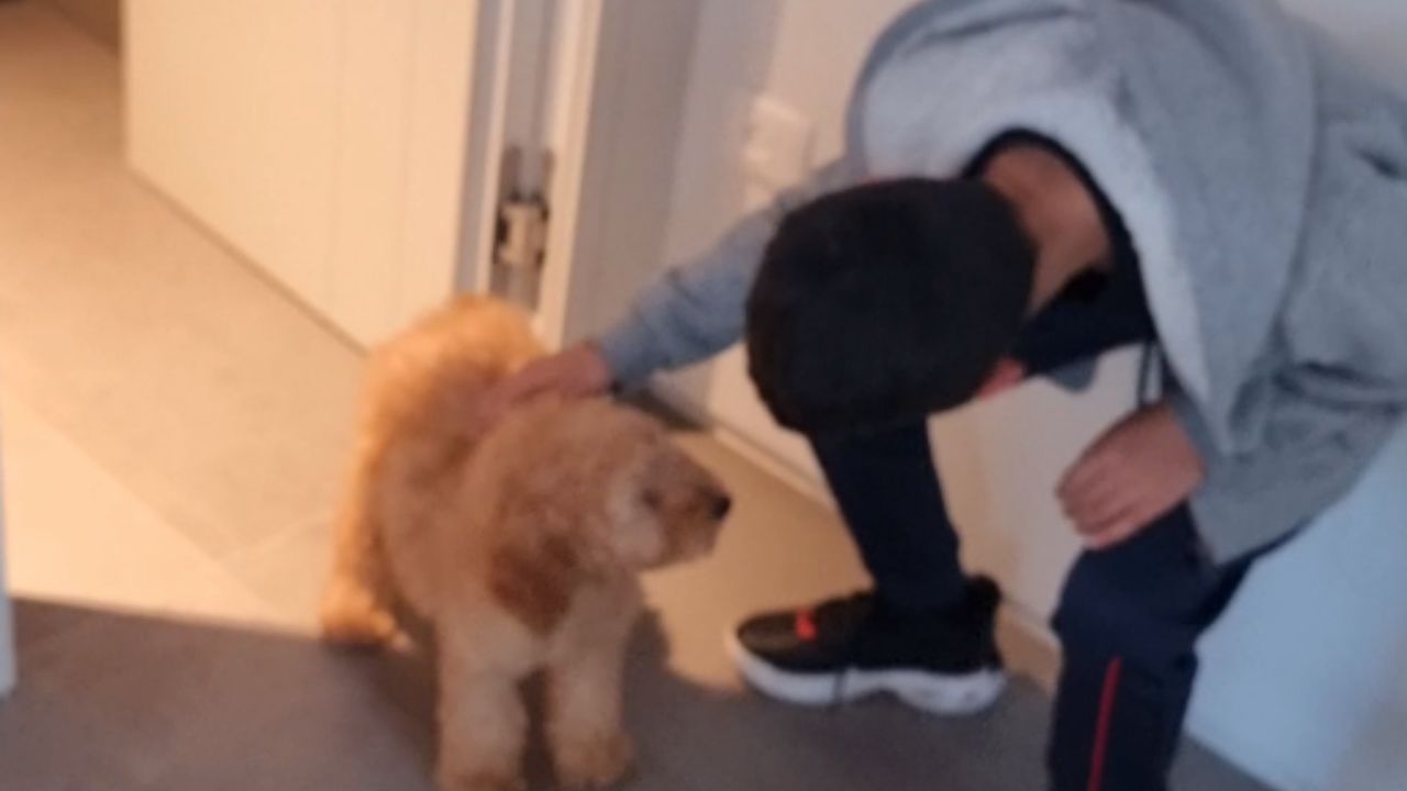 Kids instantly fall for their adorable new puppy surprise