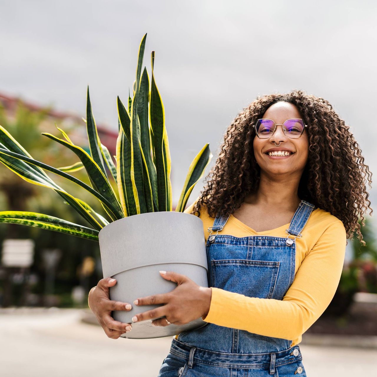 5 houseplants you should move outside this June – plus 5 you definitely ...