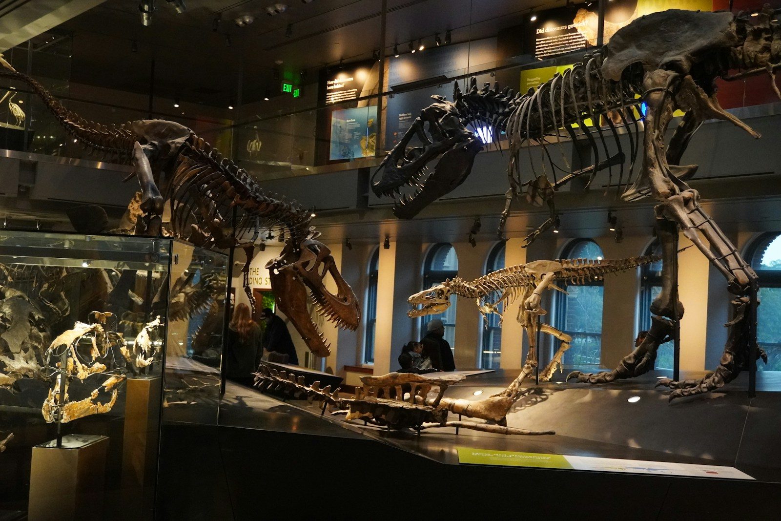 Why some animal fossils turned out to be ancient microbes