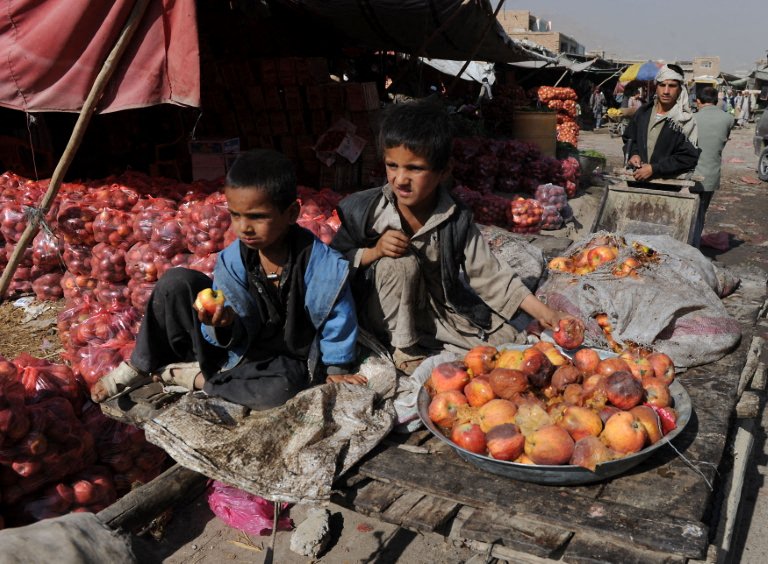What Afghanistan’s rotten apples tell us about its non-profit sector