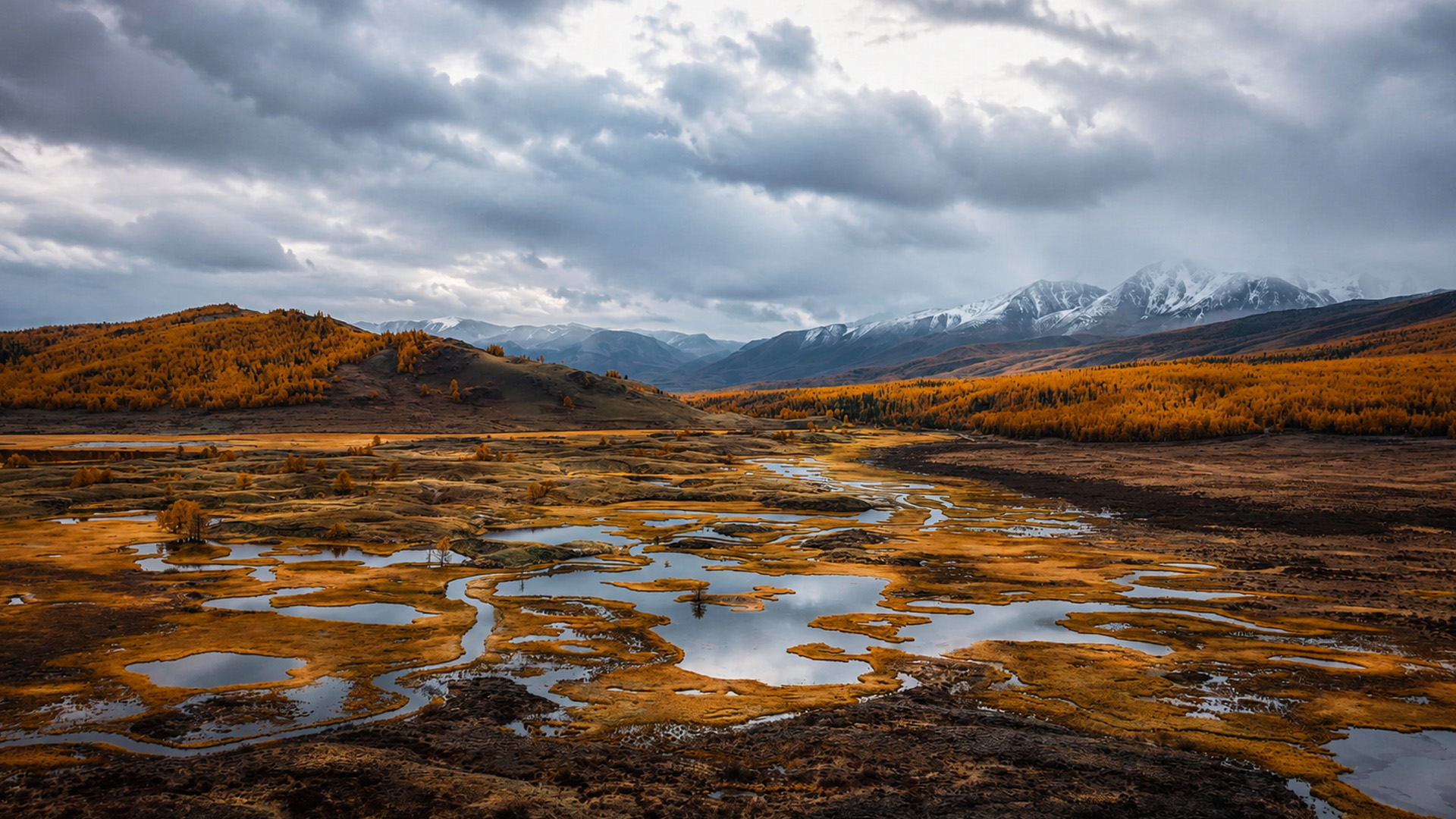 Where harsh seasons shape everything