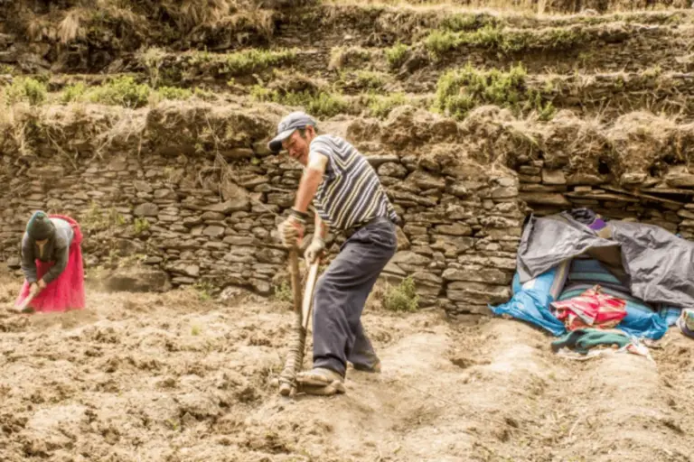 Los Andenes de Cuyocuyo son clave para conservar la biodiversidad en el ...