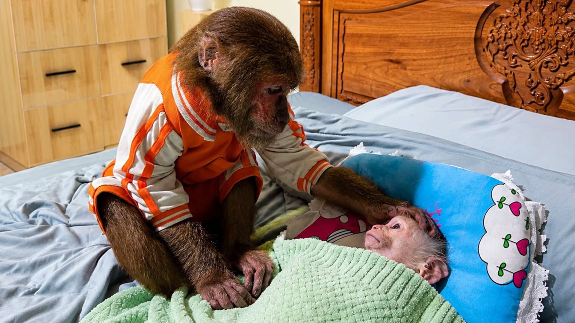 Cutis refuses to leave BUEM side while he recovers