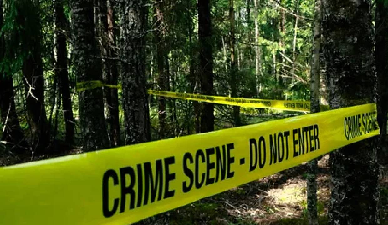 Punjab man arrested for killing teen girl, burns body in suitcase to ...