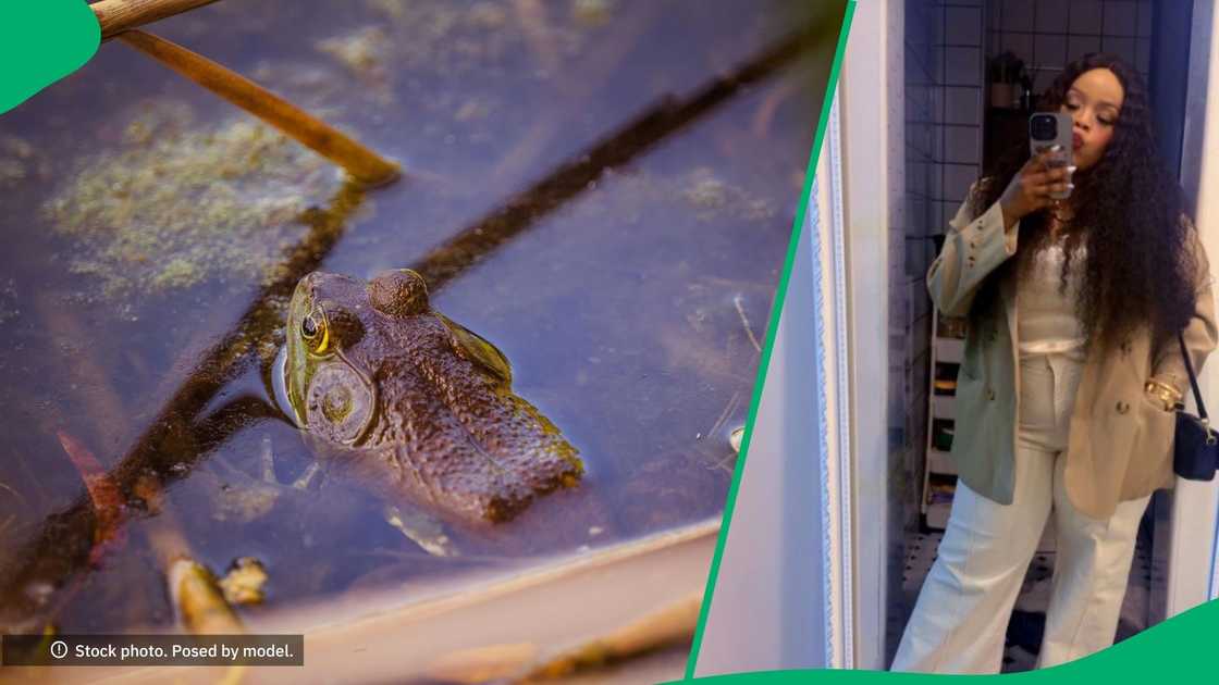 Watch: South African woman in China dives into frog cuisine, in TkTok video