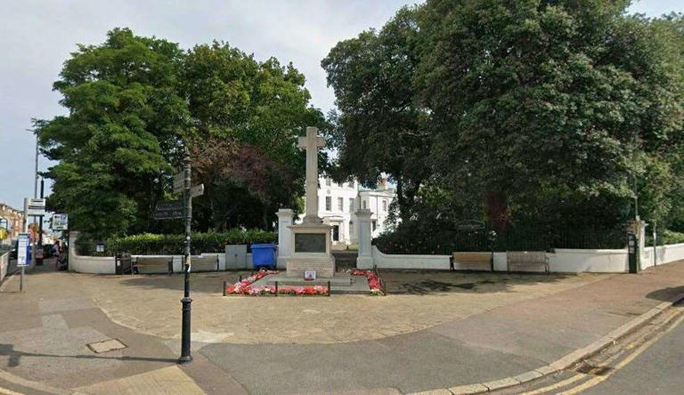 Investigation launched after seagull 'shot in head' and killed in ...