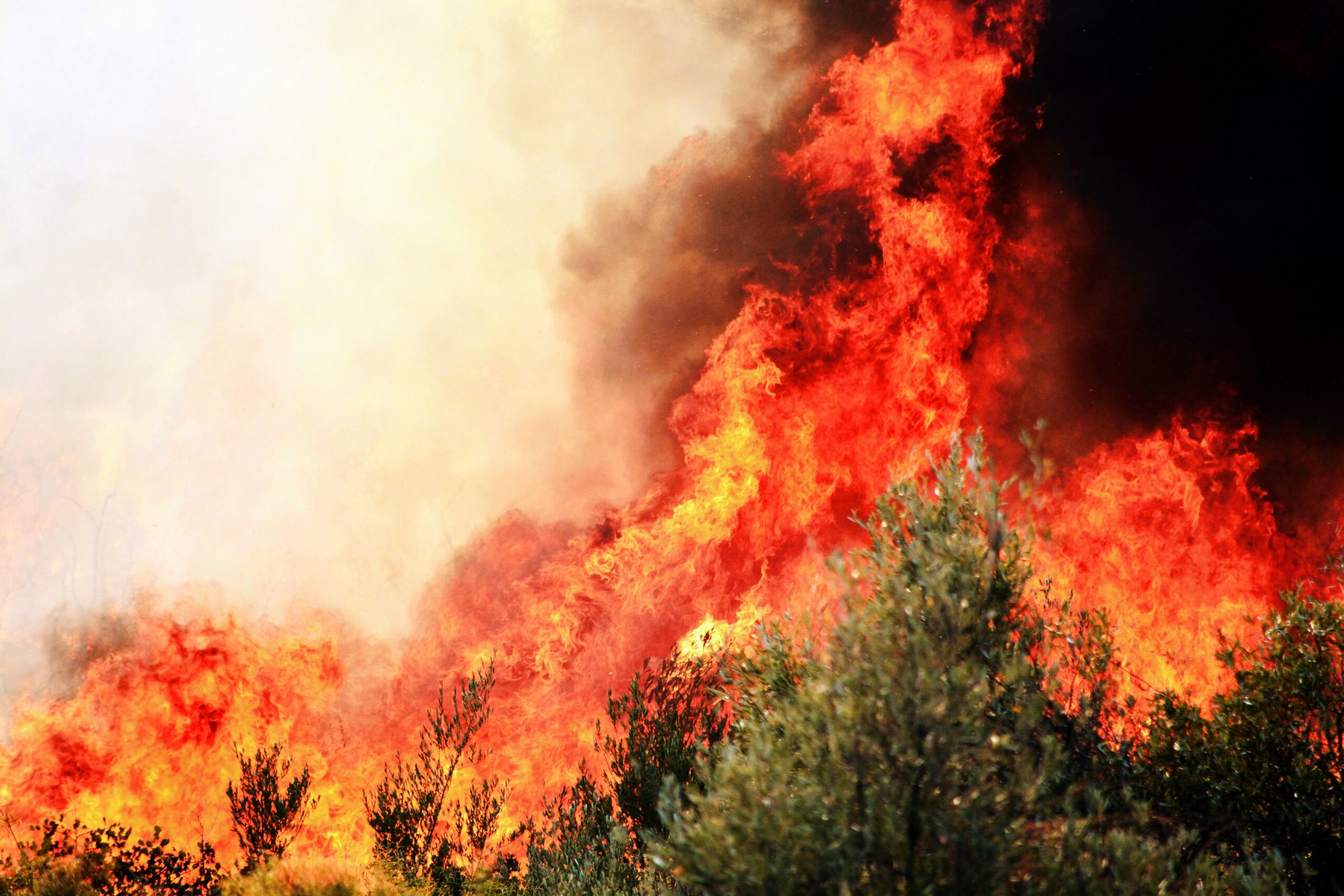 Wildfires may hit record levels