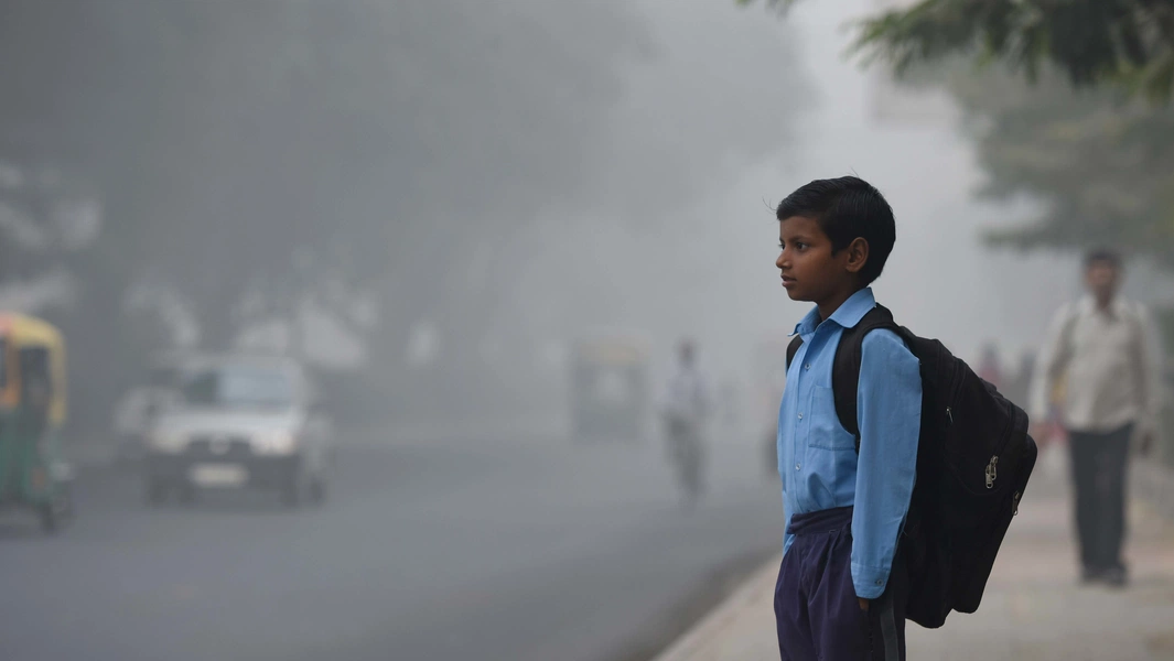 Studies link air pollution and pesticides to slower brain development