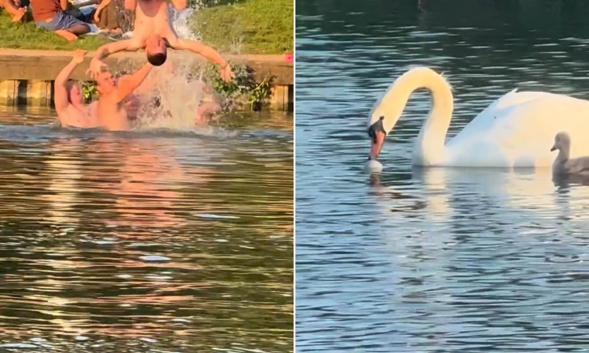 Fury as 'entitled' sunseekers invade Hampstead Heath's wildlife ponds ...