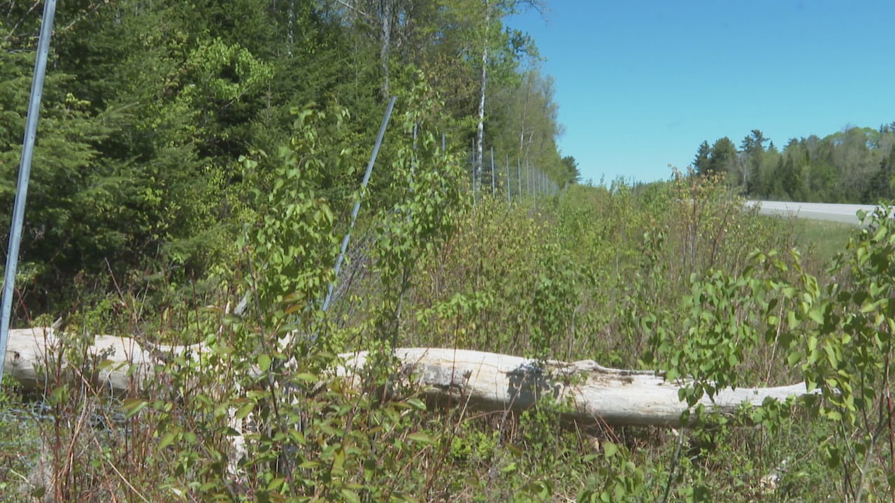 Wildlife fencing being fixed on time, says province