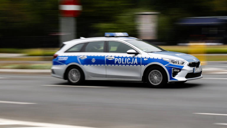 Seria fałszywych alarmów to robota większej grupy. Jej szef już w ...