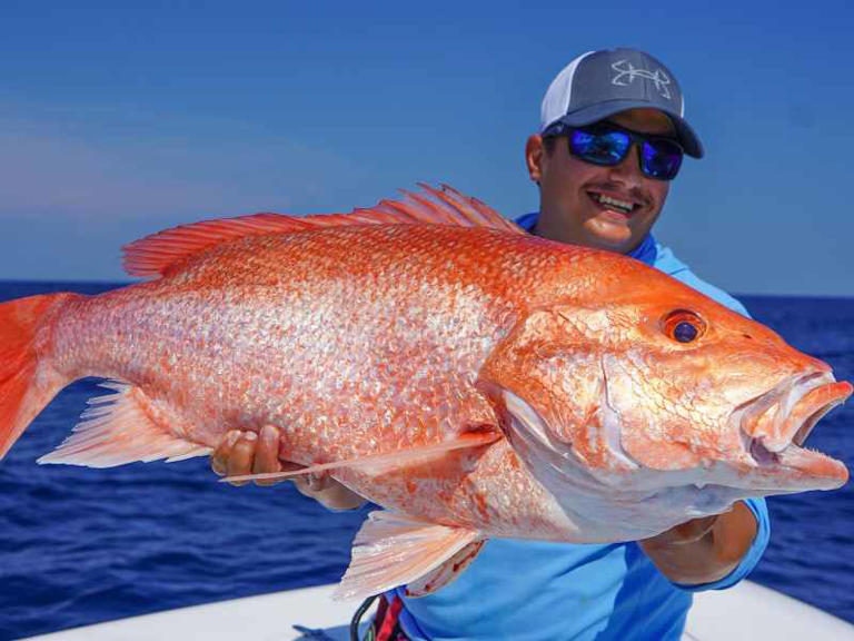 South Atlantic 2026 snapper seasons expand!