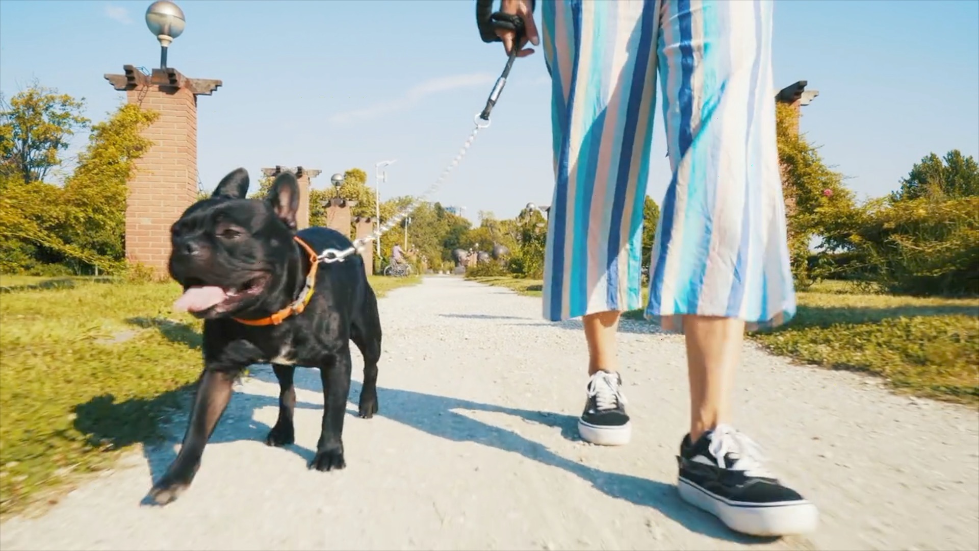 Five safety tips for you and your dog on walks