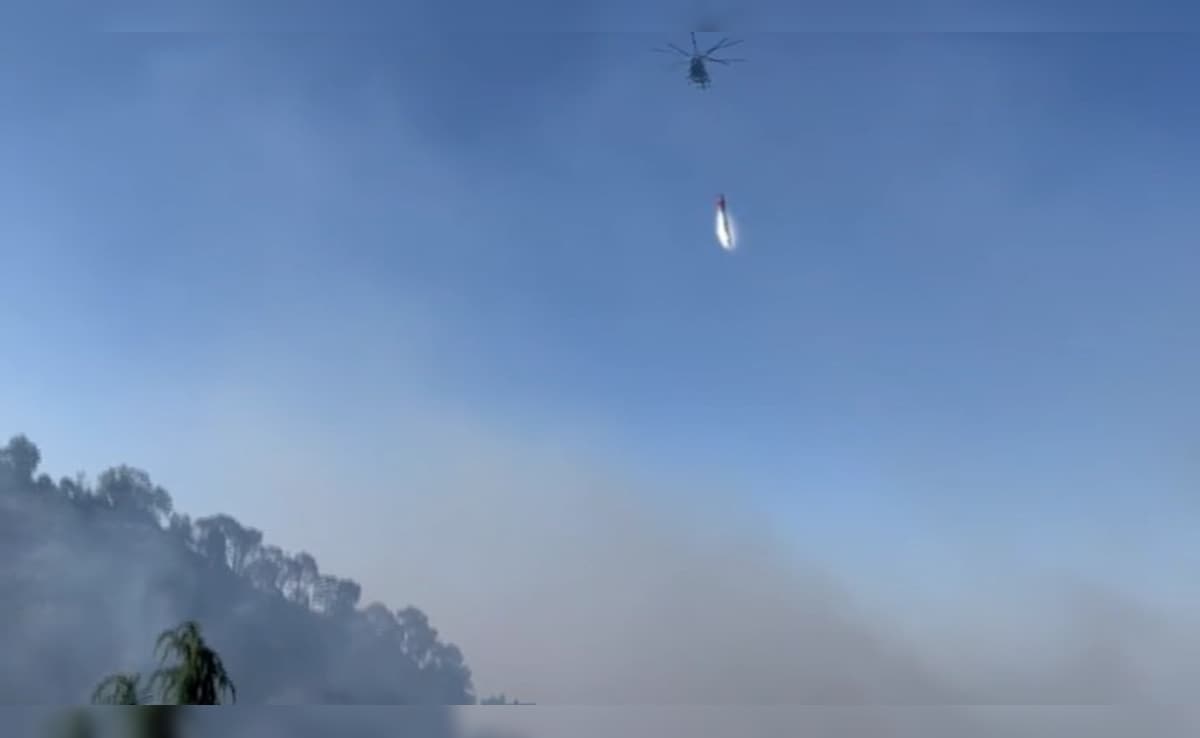 Forest near Kasauli Air Force Station on fire, choppers splash water