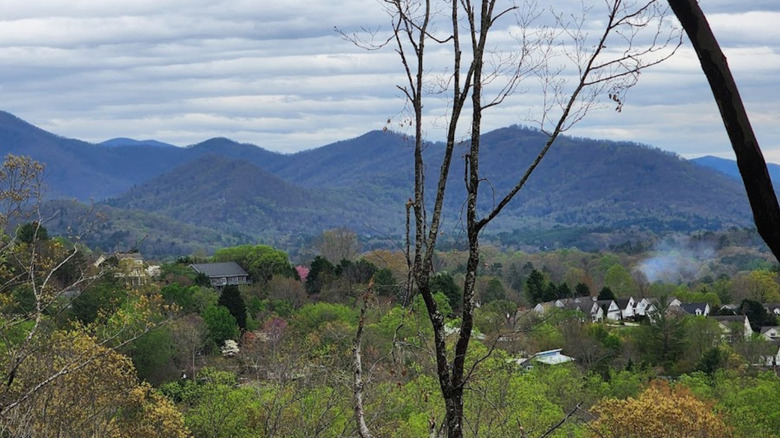 North Carolina's idyllic camping spot is a shady forest hideaway just ...