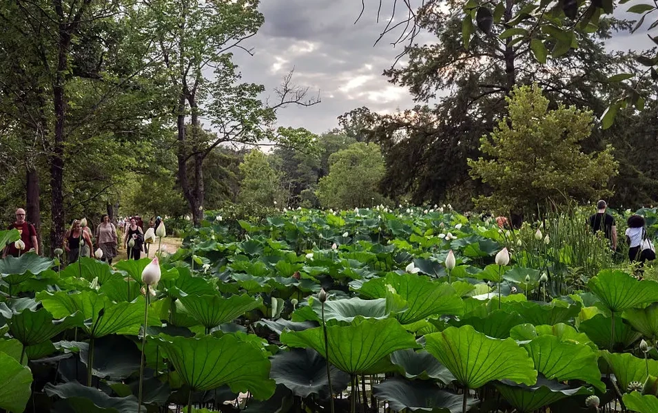 Wander through the world’s most magical gardens