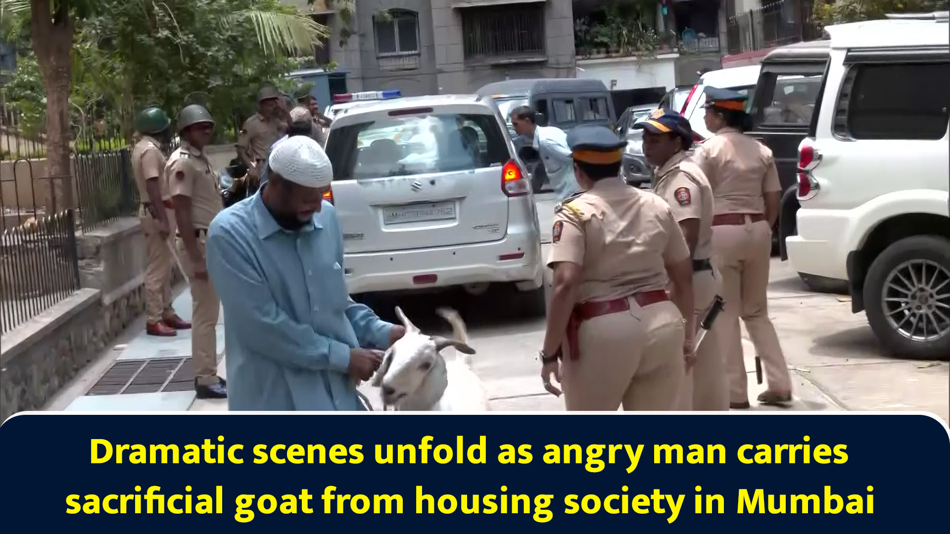 Dramatic scenes unfold as angry man carries sacrificial goat from ...