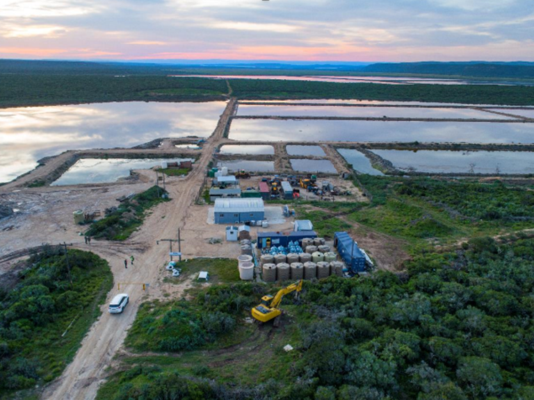 Hive Hydrogen to invest $1 BN in Coega Green Ammonia Project using ...