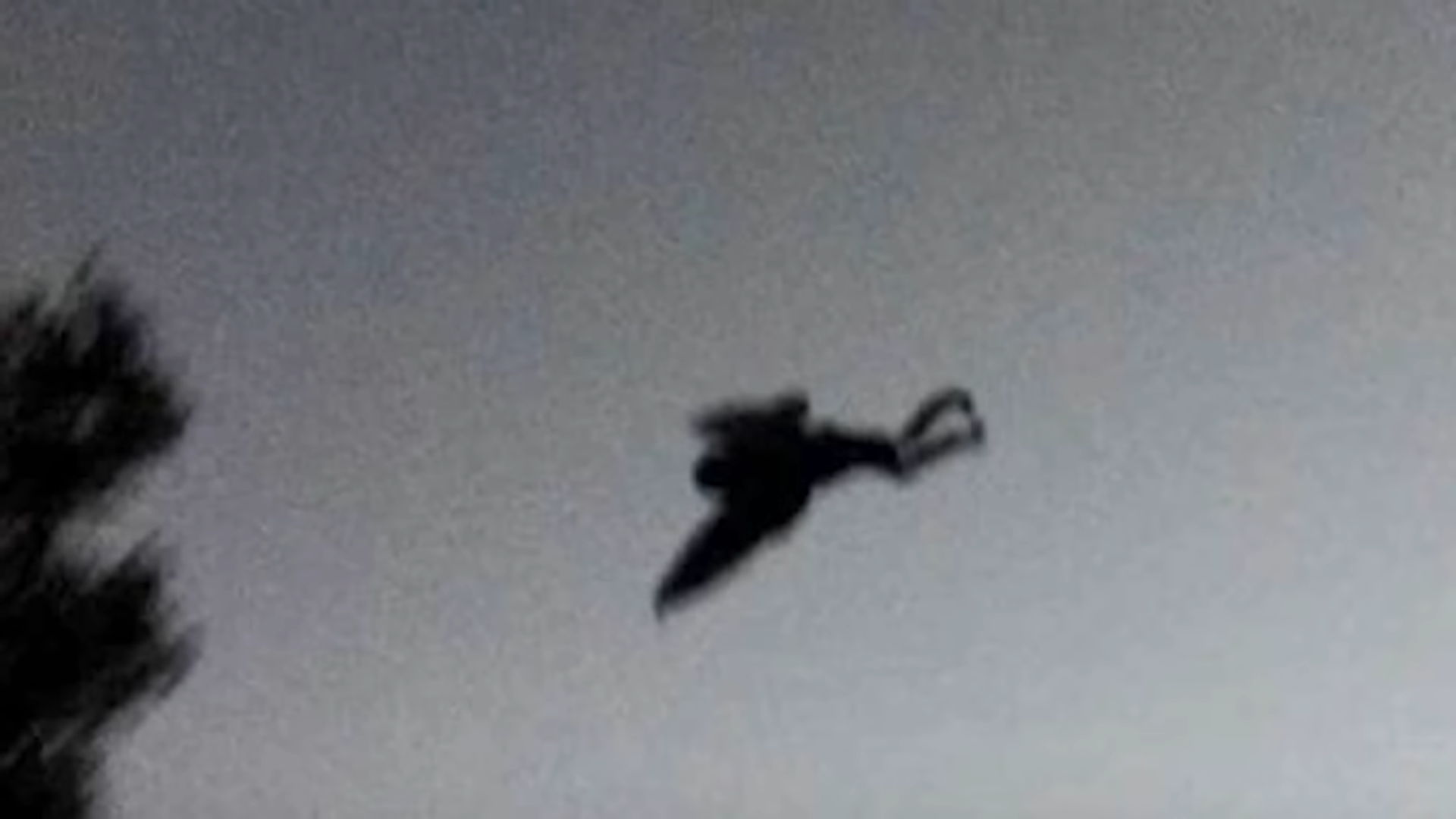 The Mothman returned after 50 years - then Chicago witnesses started ...