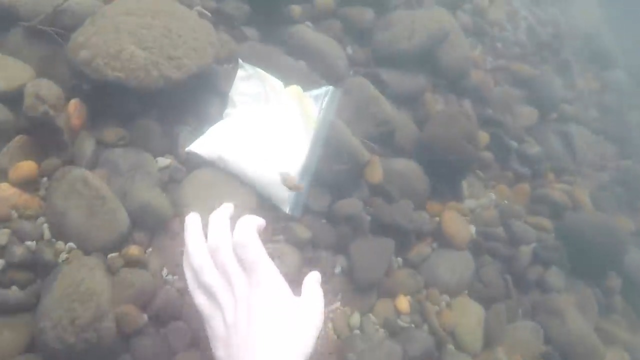 He found a full plastic baggie underwater - then saw white powder ...