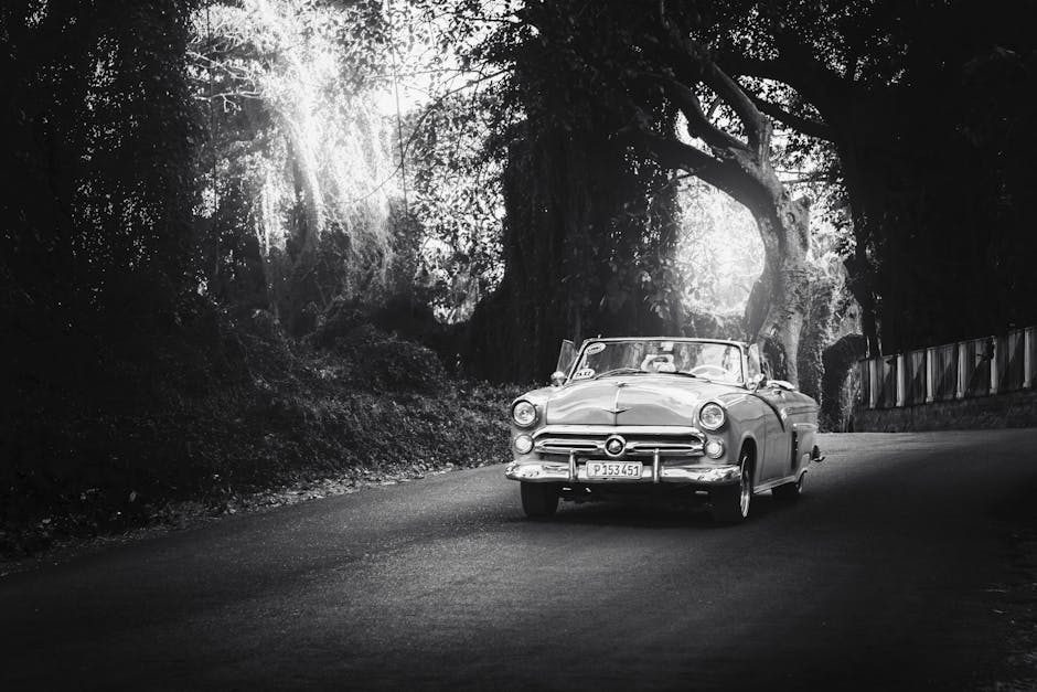 The return of the Sunday drive and other car rituals Americans nearly ...